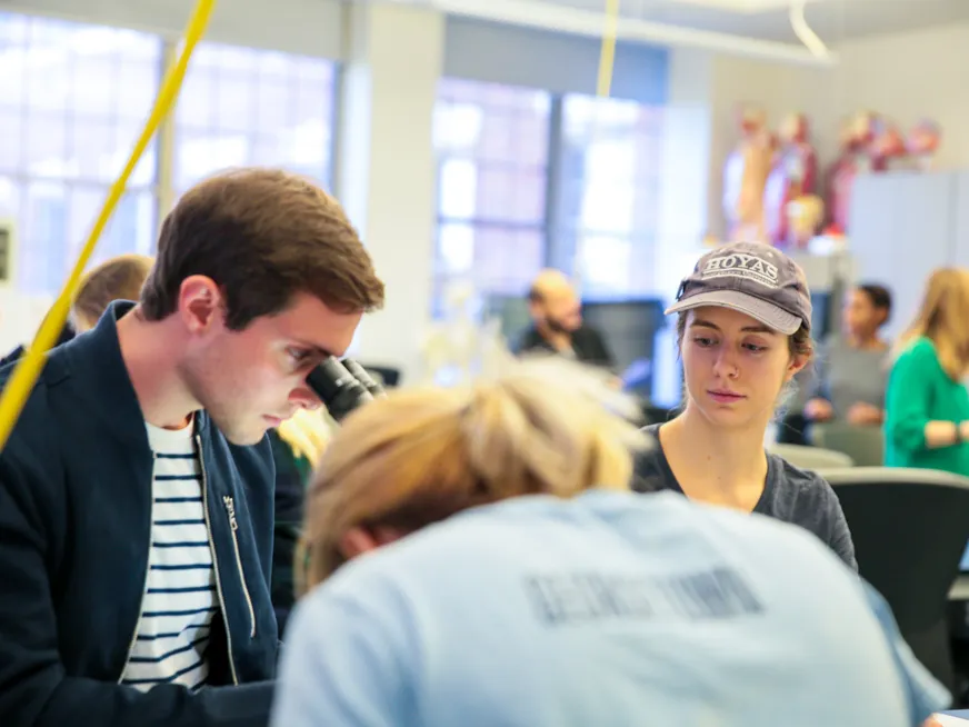 Majors | Bachelor of Science in Foreign Service | Georgetown